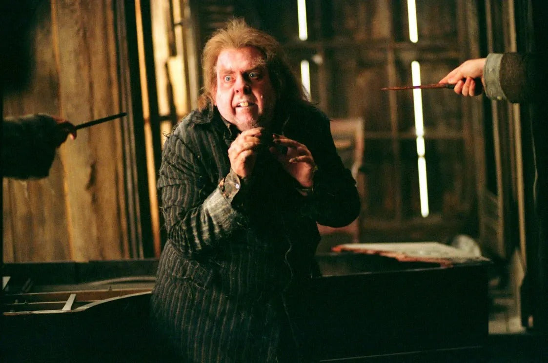 Analyse du caractère de Peter Pettigrew : Scabbers le rat – MaisonDesJouets